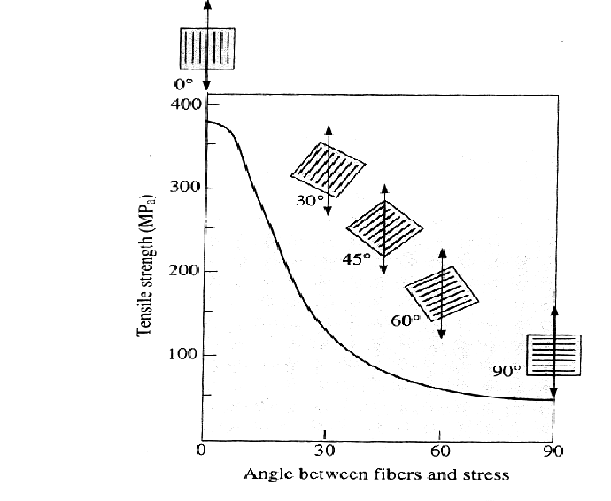 Can Fiber Orientation Be Automated? – Fortify